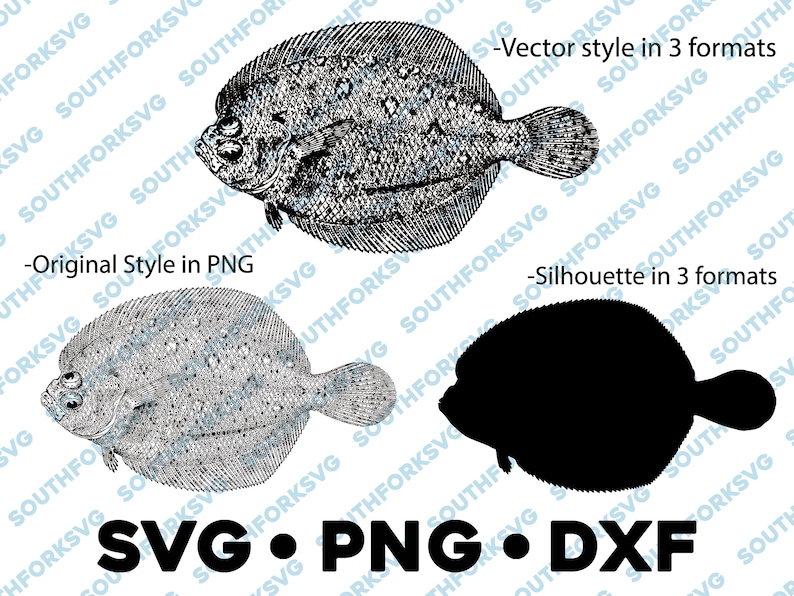 Flounder Halibut Flatfish Sole Turbot Plaice SVG PNG DXF - Etsy