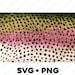 Rainbow Trout Skin Pattern SVG PNG Rainbow Brook Brown Trout Fly ...