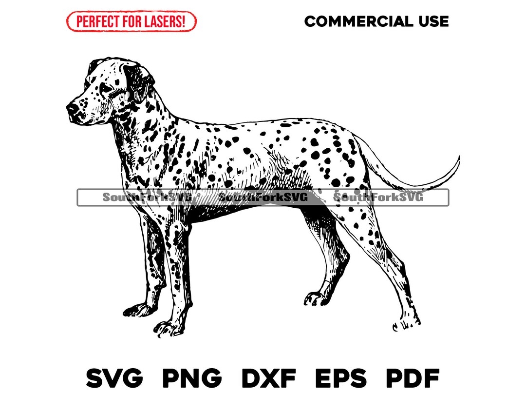 Laser Engrave File Dalmatian Svg Png Dxf Eps Pdf Vector Graphic Design ...
