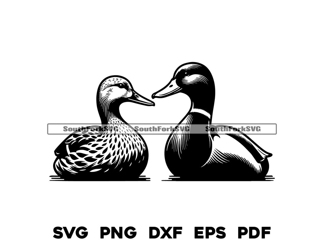 Mallard Ducks Male Female Pair Couple Svg Png Dxf Eps Pdf | Vector ...