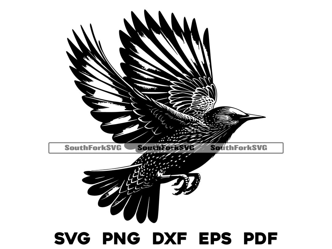 Flying European Starling Design | Svg Png Dxf Eps Pdf | Vector Graphic ...