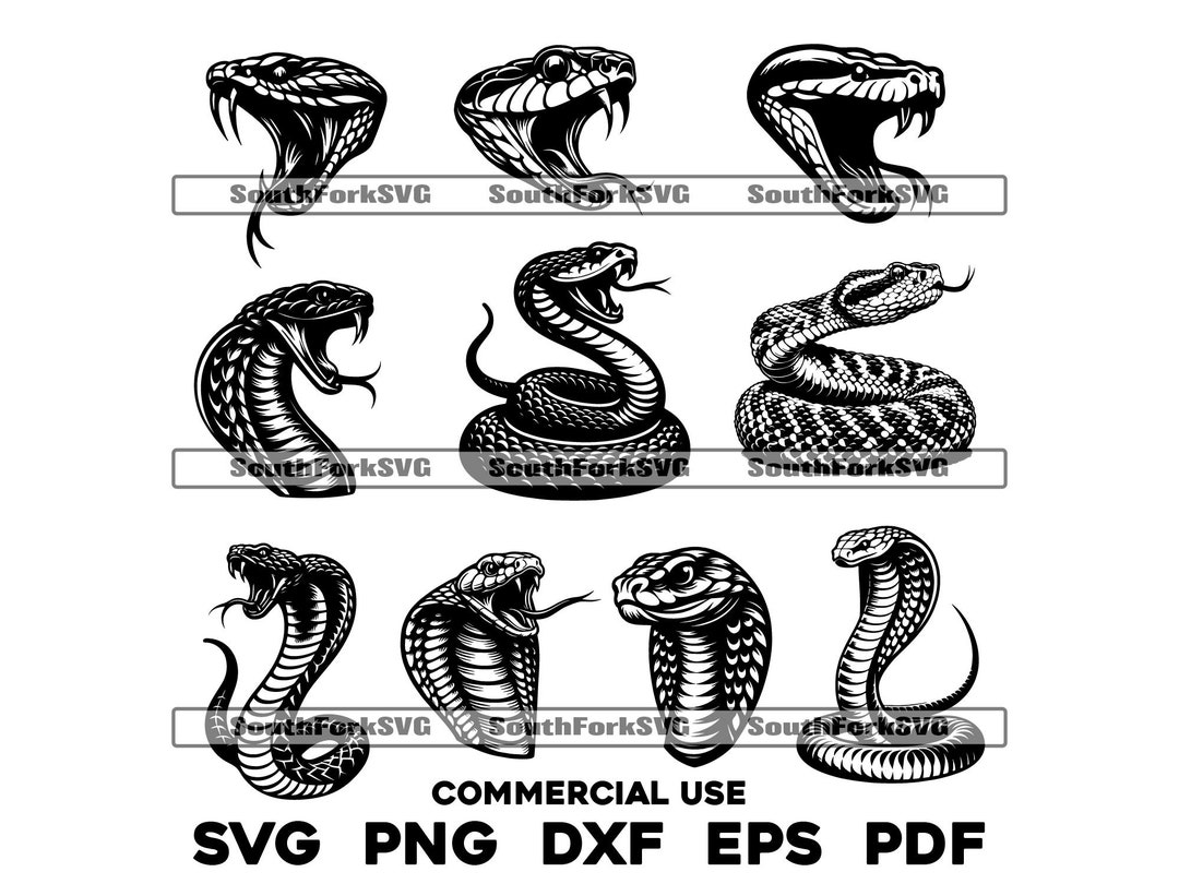 Snake Bundle Pack Svg Png Dxf Eps Pdf | Vector Graphic Cut File Laser ...