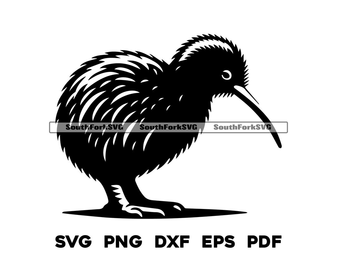 Kiwi Bird Design | Svg Png Dxf Eps Pdf | Vector Graphic Cut File Laser ...