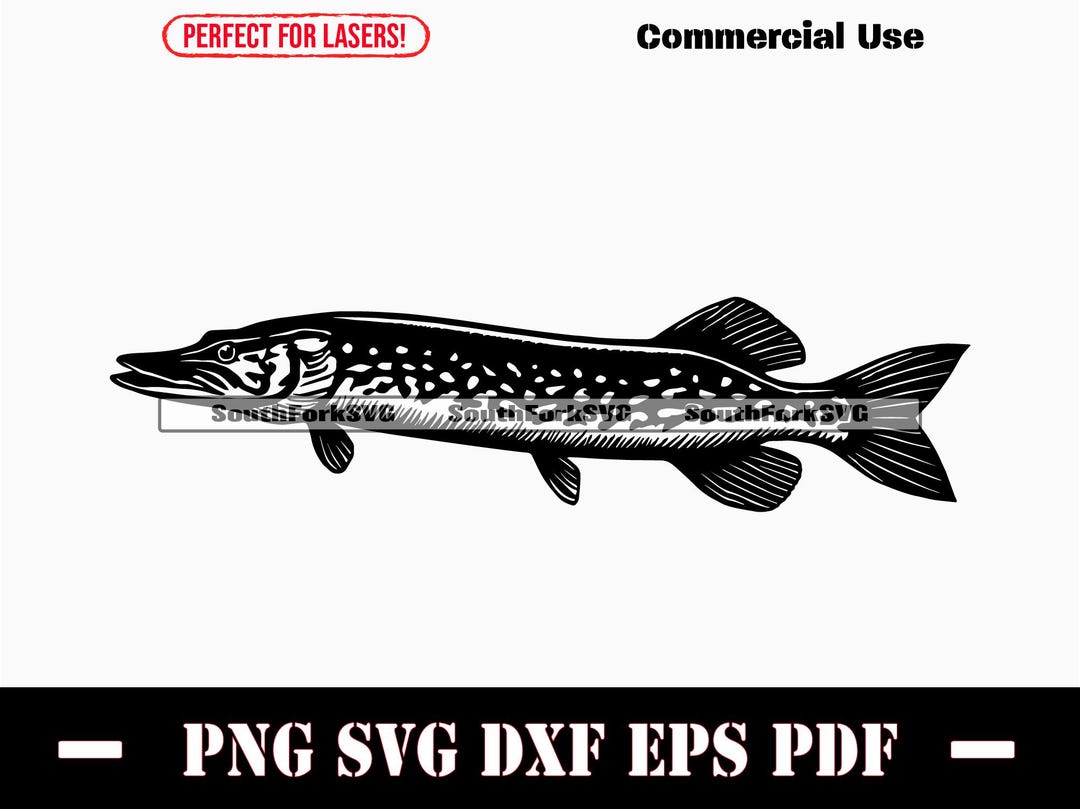 Northern Pike Svg Png Dxf Eps Pdf | Transparent Vector Graphic Design ...