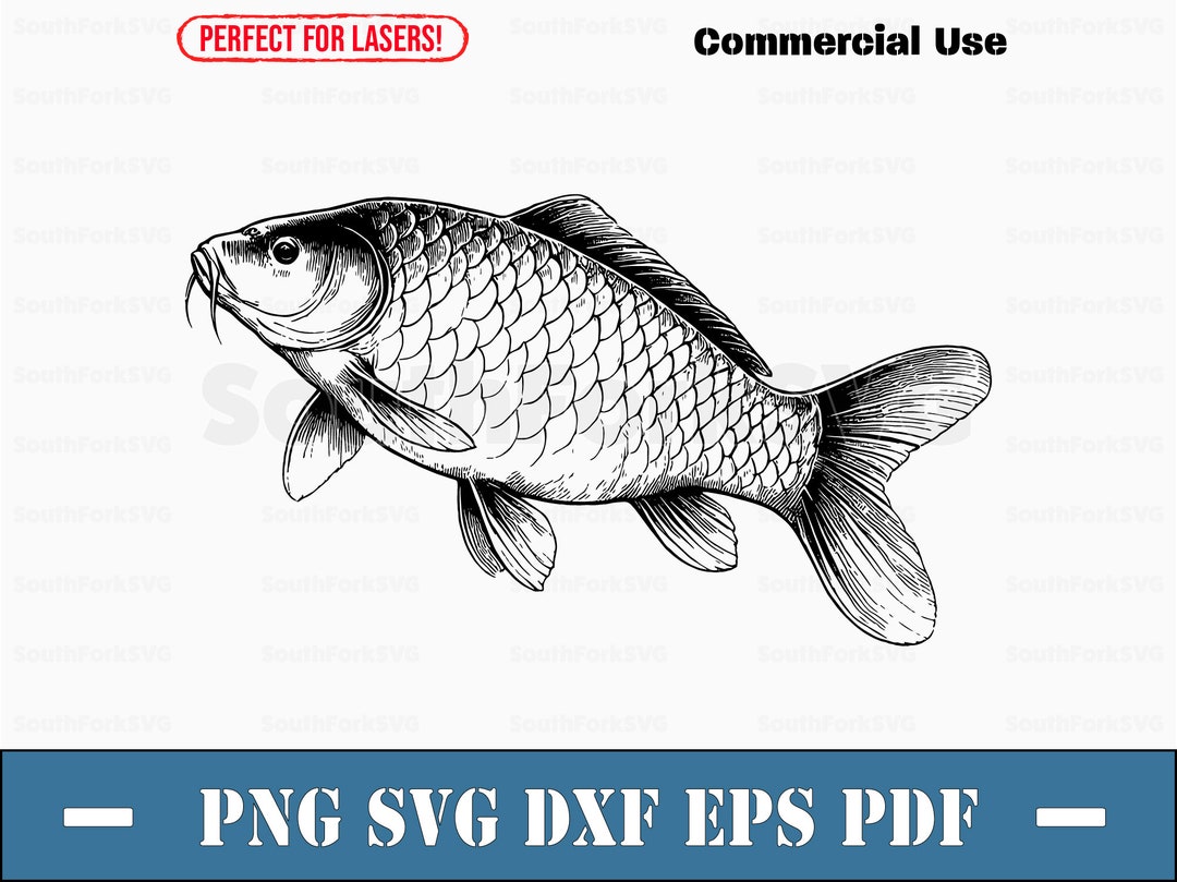 Carp Fish Svg Png Dxf Eps Pdf | Transparent Vector Graphic Design Cut ...