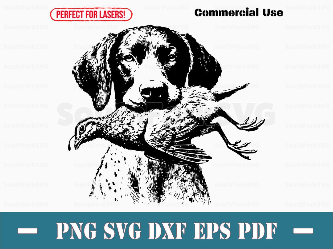German Shorthaired Pointer Quail Hunting Dog Svg Png Dxf Eps Pdf ...