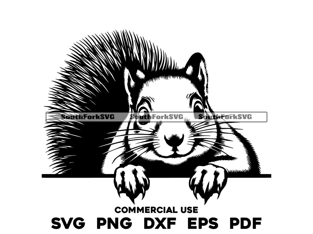 Peeking Grey Squirrel Design Svg Png Dxf Eps Pdf | Vector Graphic ...