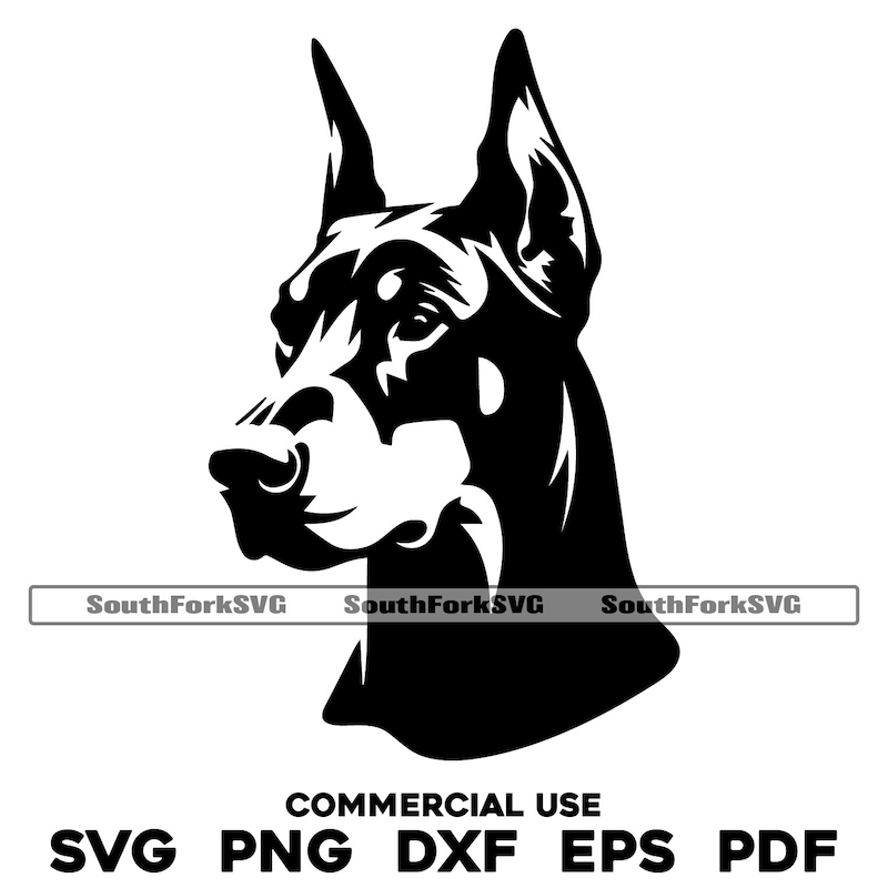 Car Design Svg Commercial - Etsy