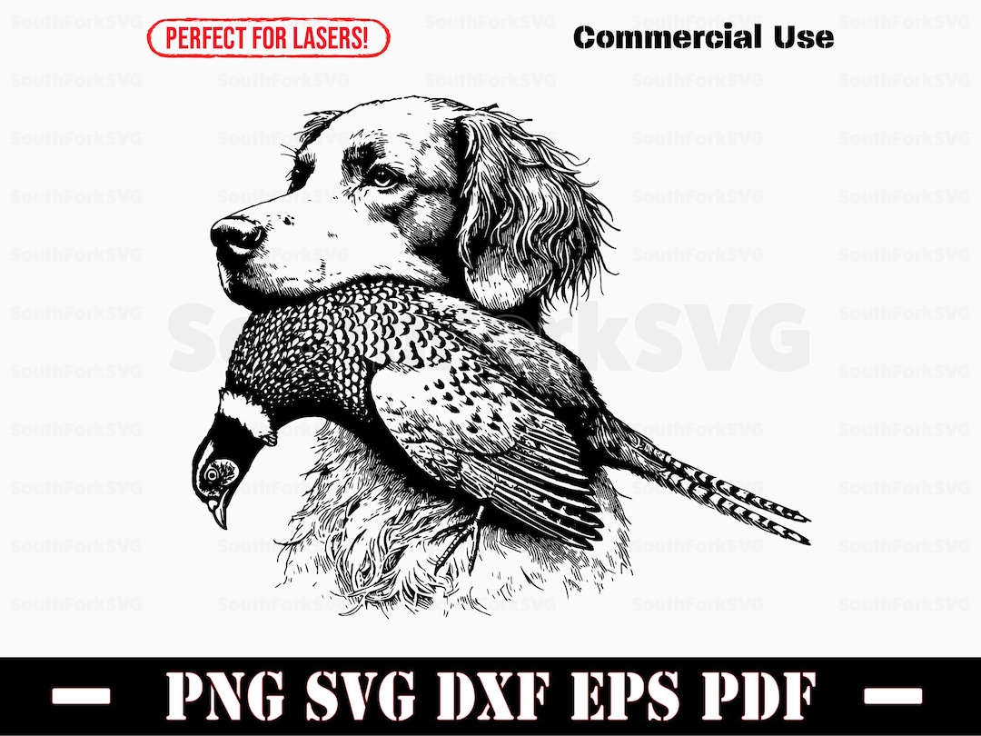 Brittany Spaniel Pheasant Svg Png Dxf Eps Pdf | Vector Graphic File ...