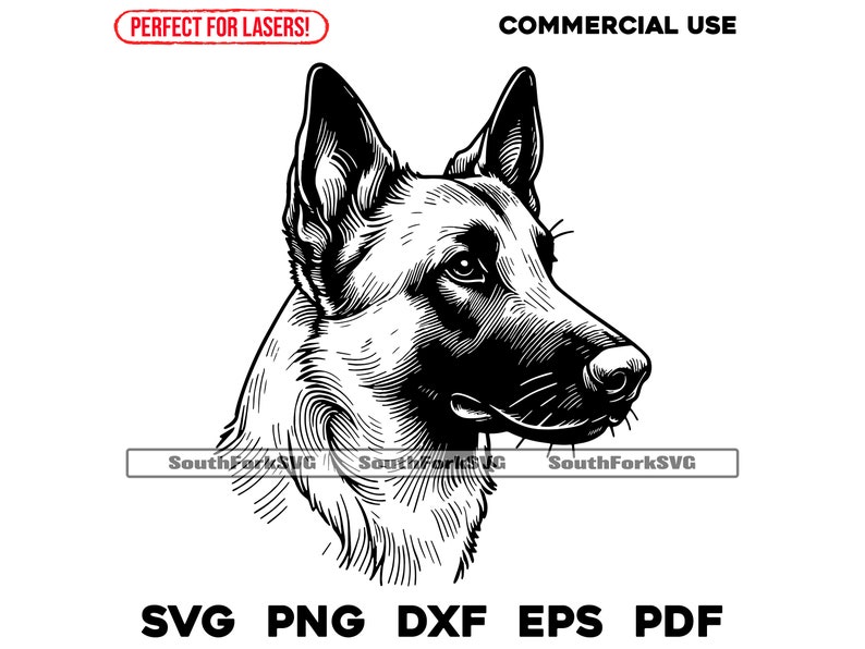 Belgian Malinois Portrait Svg Png Dxf Eps Pdf Vector Graphic Cut File ...