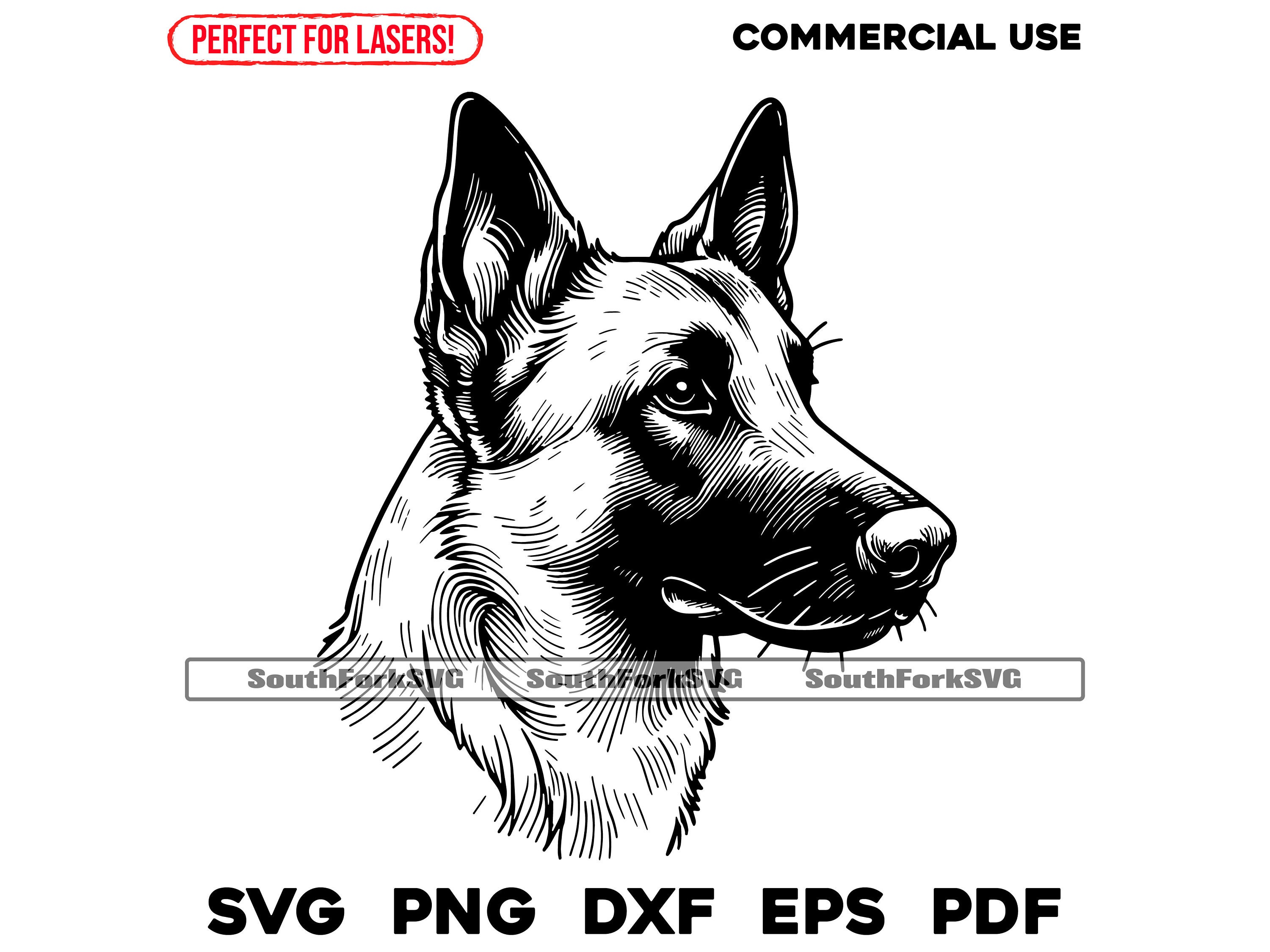 Belgian Malinois Portrait Svg Png Dxf Eps Pdf | Vector Graphic Cut File ...
