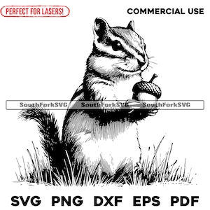 Chipmunk Stencil