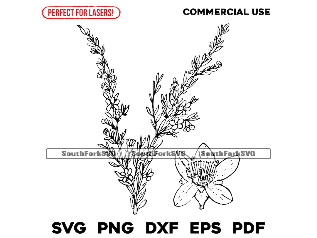 Laser Engrave Files Myrtle Flowers Svg Png Dxf Eps Pdf Vector Graphic ...