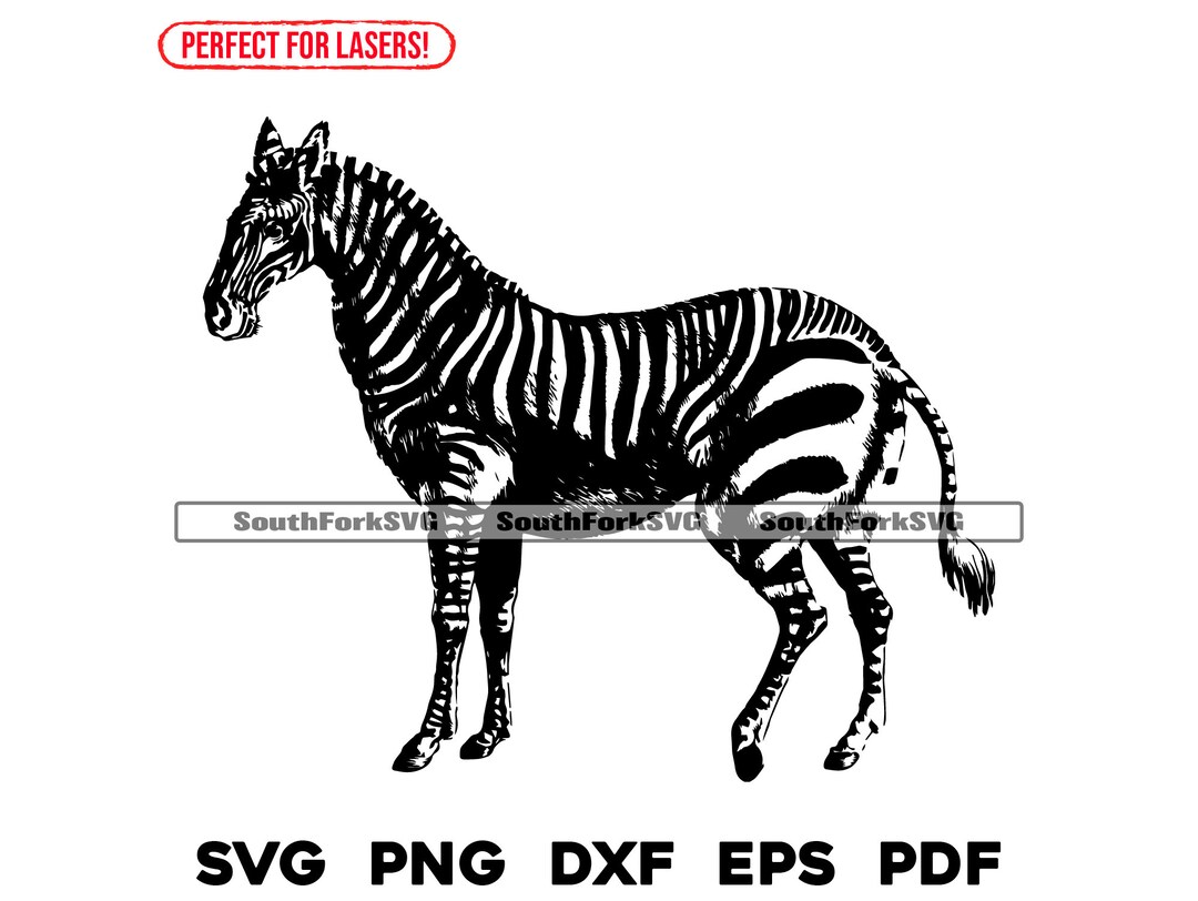 Laser Engrave Files Zebra Svg Png Dxf Eps Pdf | Vector Graphic Design ...