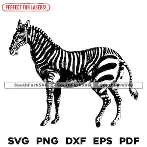 Laser Engrave Files Zebra Svg Png Dxf Eps Pdf | Vector Graphic Design ...