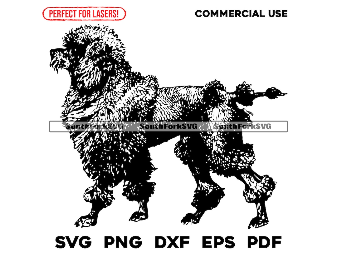 Laser Engrave File Curly Poodle Svg Png Dxf Eps Pdf Vector Graphic ...