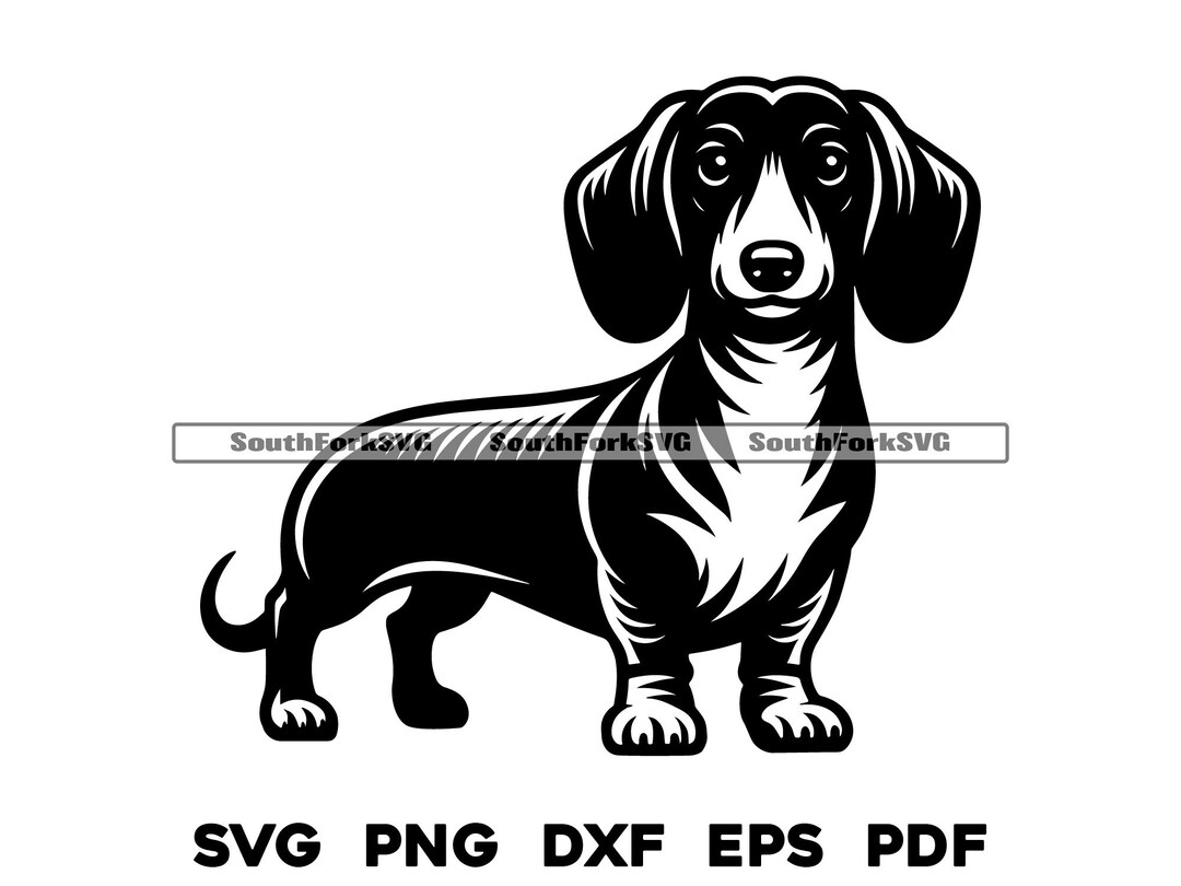 Dachshund Weiner Dog Standing | Svg Png Dxf Eps Pdf | Vector Graphic ...