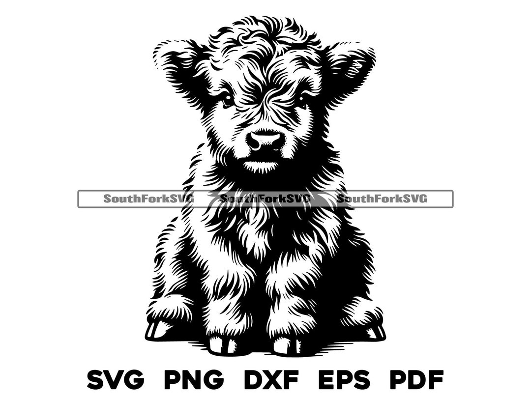 Baby Highland Cow | Svg Png Dxf Eps Pdf | Transparent Vector Graphic ...