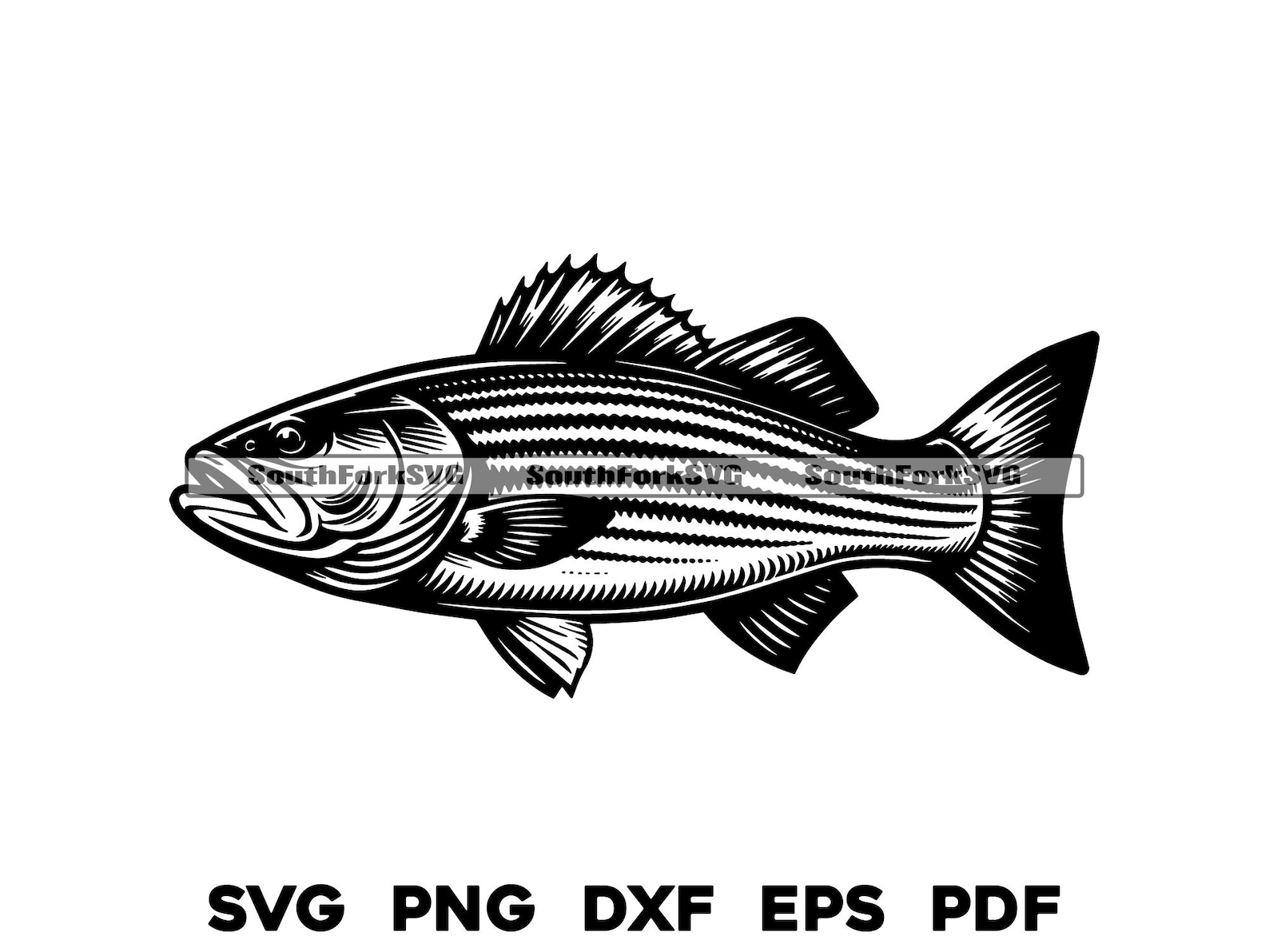 Striped Bass, Striper 1 | Svg Png Dxf Eps Pdf | Transparent Vector ...