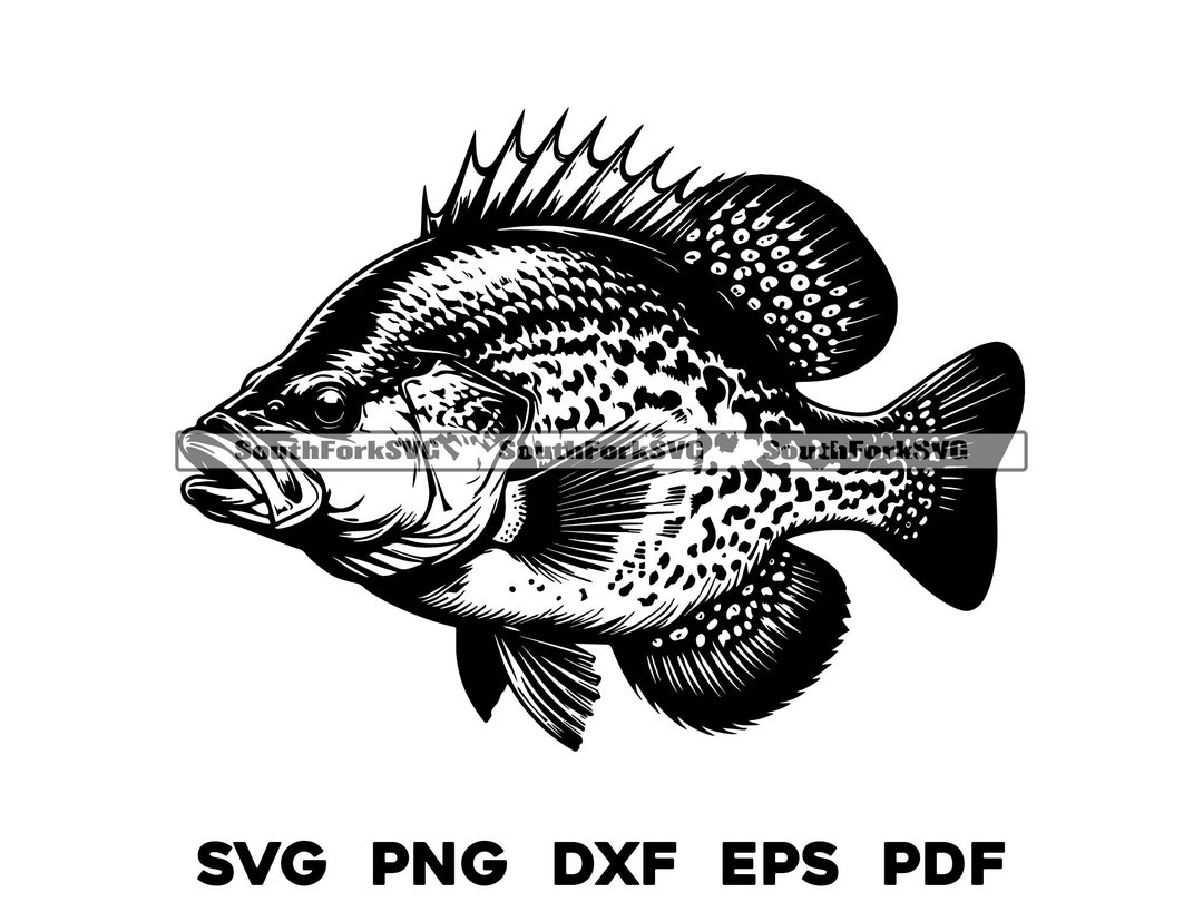 Crappie Fish Design Files | Svg Png Dxf Eps Pdf | Transparent Vector ...