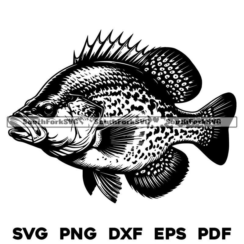 Crappie Svg - Etsy