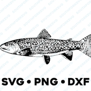 Brook Trout SVG PNG DXF Rainbow Brown Salmon Transparent Vector Graphic ...