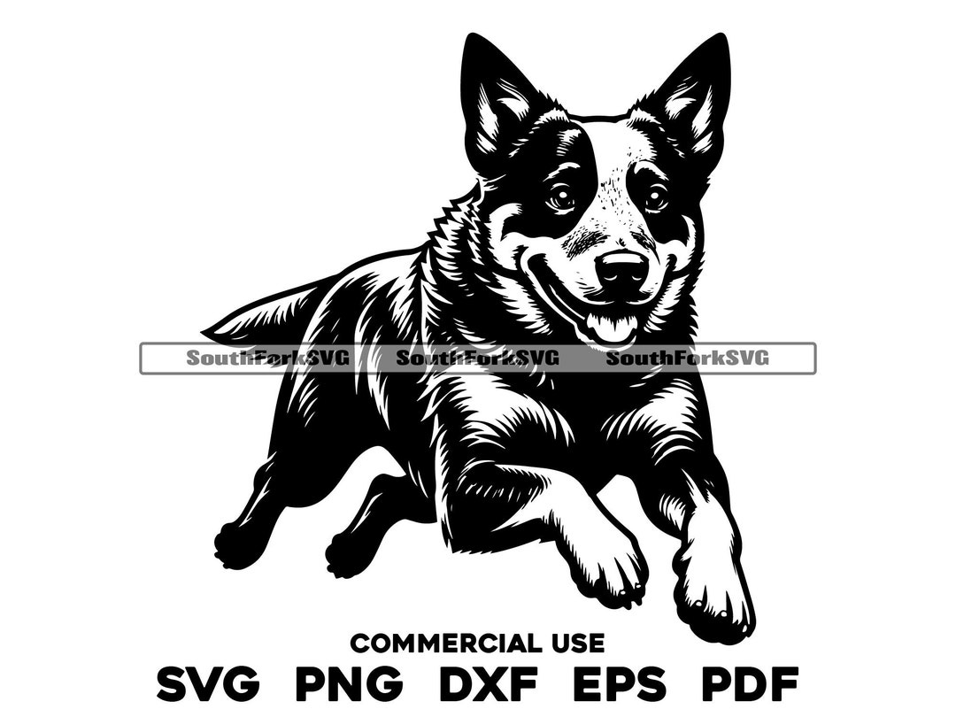 Blue Heeler Running Design | Svg Png Dxf Eps Pdf | Vector Graphic Cut ...