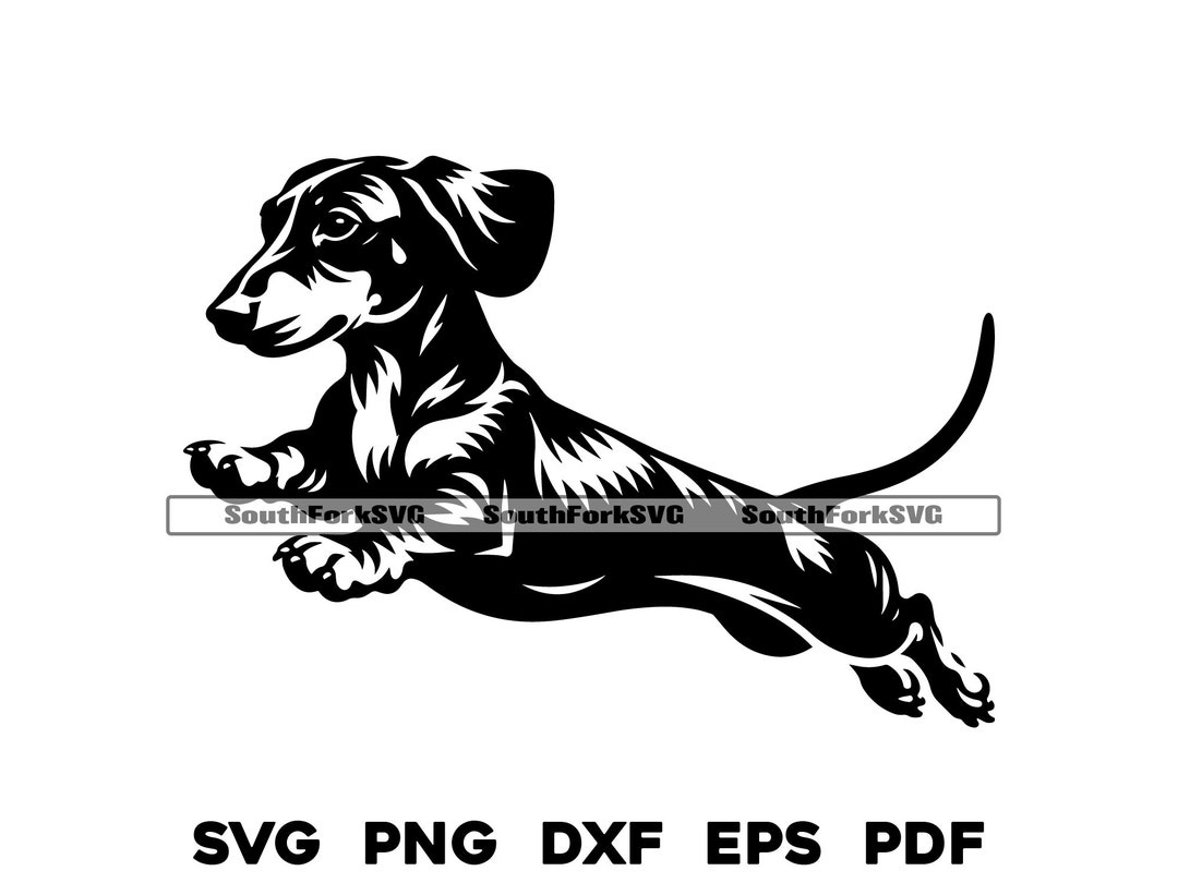Dachshund Weiner Dog Jumping | Svg Png Dxf Eps Pdf Vector Graphic Cut ...