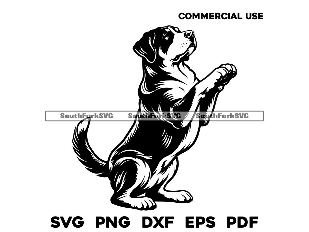 Begging Greater Swiss Mountain Dog Svg Png Dxf Eps Pdf Vector Graphic ...