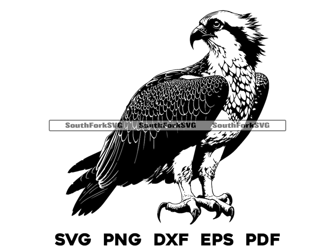 Osprey Bird Design | Svg Png Dxf Eps Pdf | Vector Graphic Cut File ...