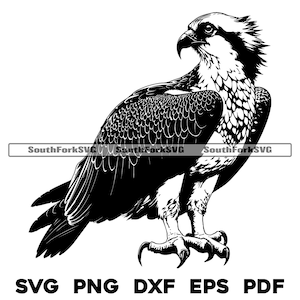 Osprey Bird Design | Svg Png Dxf Eps Pdf | Vector Graphic Cut File ...