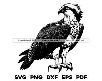 Osprey Silhouette SVG, Svg, Dxf, Cricut, Silhouette Cut File, Instant ...