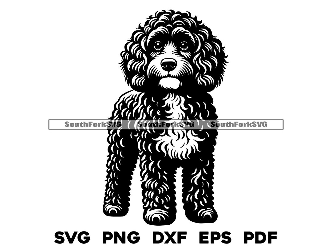 Cockapoo Dog Standing Design | Svg Png Dxf Eps Pdf | Vector Graphic Cut ...