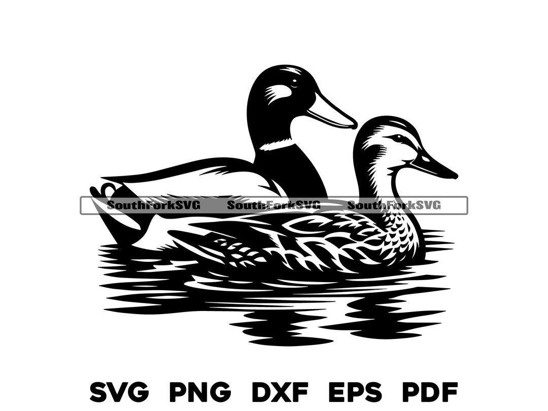 Male & Female Mallard Ducks Svg Png Dxf Eps Pdf | Vector Graphic Design ...