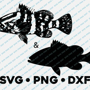 Grouper Nassau SVG PNG DXF Vector Transparent Cameo Silhouette Cut File ...