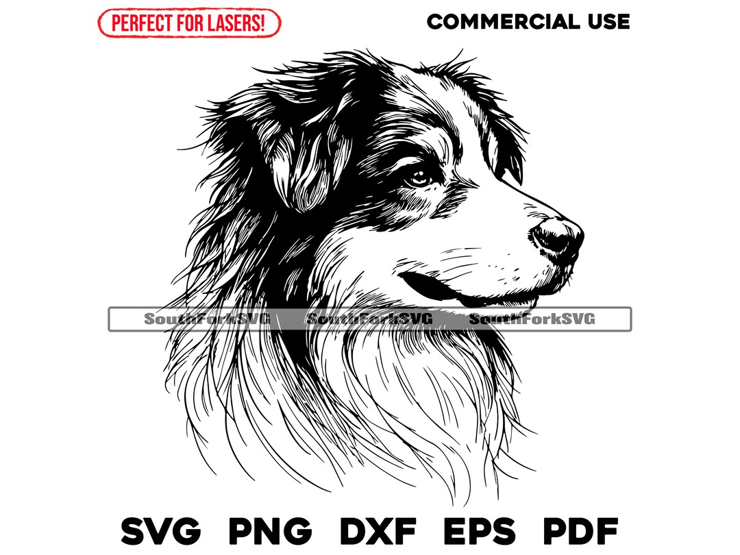 Australian Shepherd Portrait Svg Png Dxf Eps Pdf | Vector Graphic Cut ...