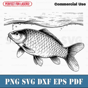 Carp Fish Scene Svg Png Dxf Eps Pdf | Transparent Vector Graphic Design ...