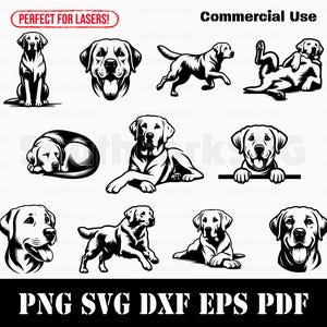 White Lab Labrador Retriever Dog Designs Bundle Svg Png Dxf Eps Pdf ...
