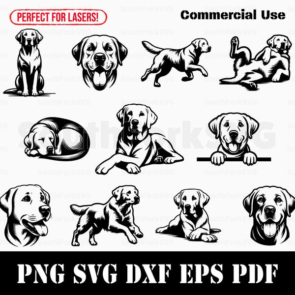 Lab Dog Svg - Etsy