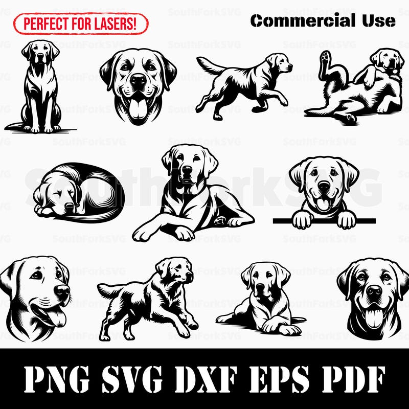 Lab Dog Svg - Etsy