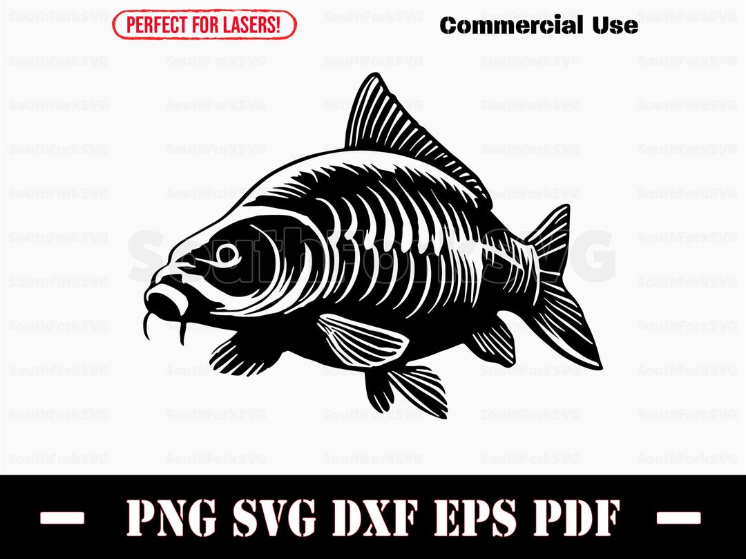 Carp Fishing Svg Png Dxf Eps Pdf | Transparent Vector Graphic Design ...