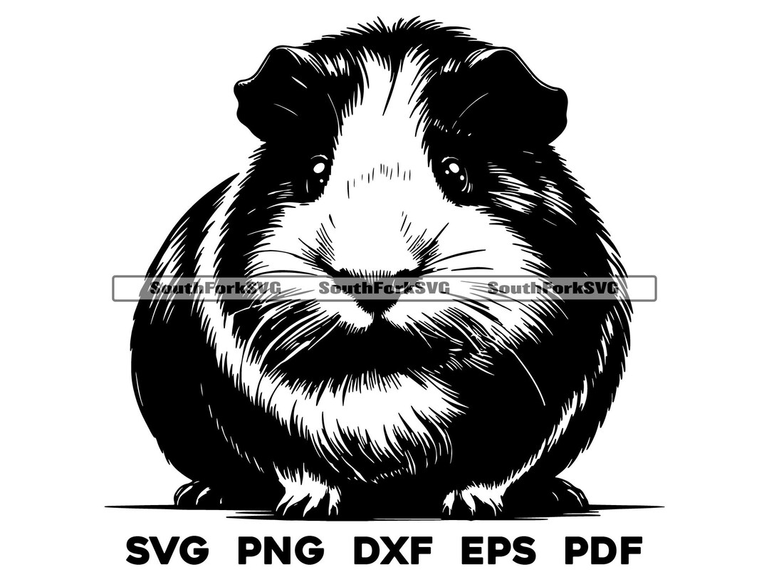 Guinea Pig Design | Svg Png Dxf Pdf Eps | Vector Graphic Design Cut ...