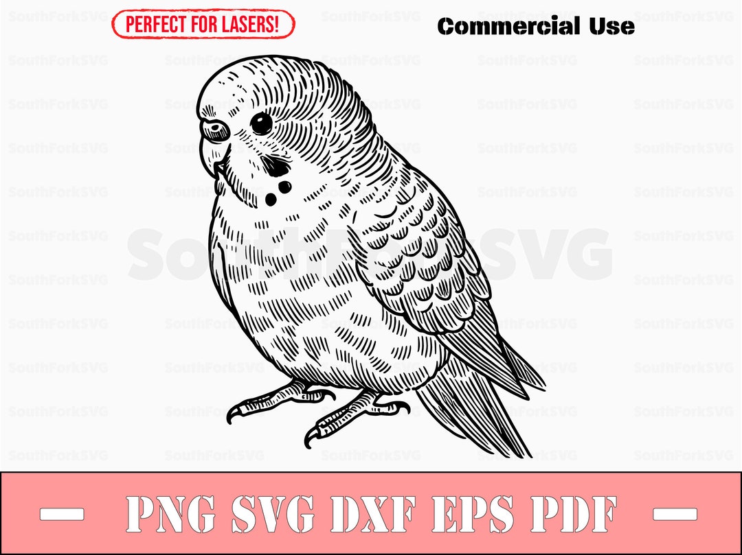 Parakeet Laser/dye Sub Svg Png Dxf Eps Pdf | Vector Graphic Cut File ...