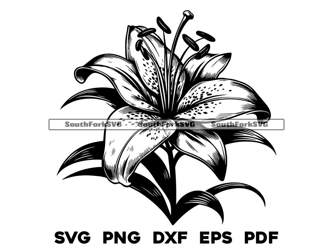 Lily Flower Floral Design Svg Png Dxf Eps Pdf | Vector Graphic Cut File ...