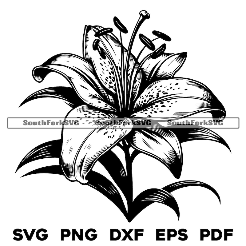 Lily Svg - Etsy