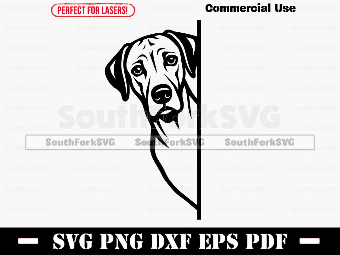 Peering Rhodesian Ridgeback Dog Svg Png Dxf Eps Pdf | Vector Graphic ...