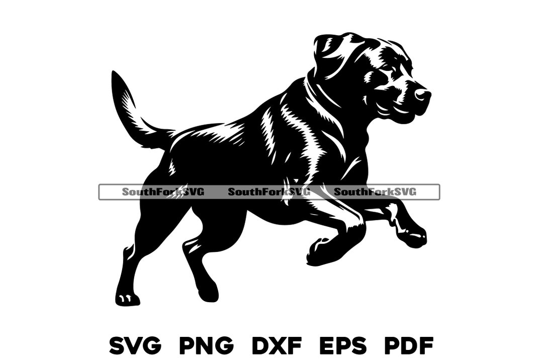 Labrador Retriever Dog Running Design Svg Png Dxf Eps Pdf | Vector ...