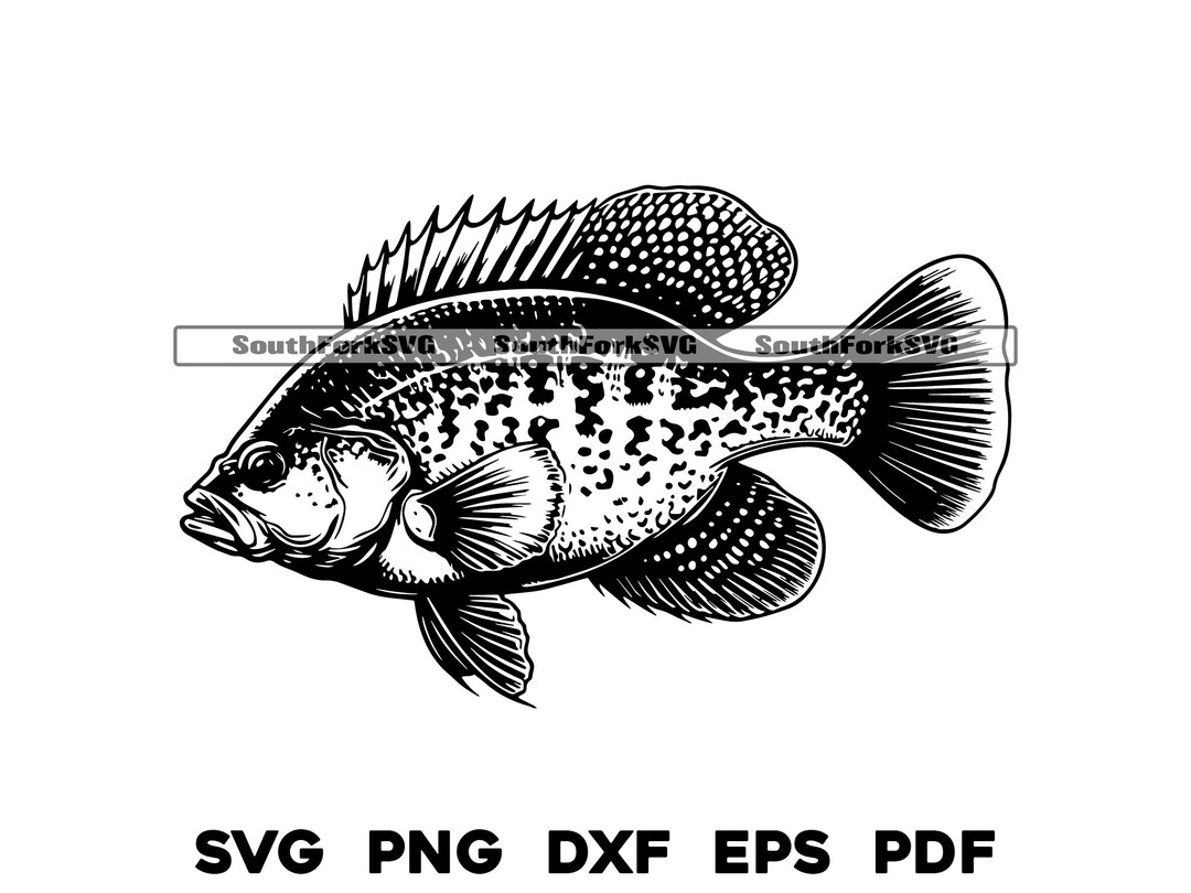 Crappie Svg Png Dxf Eps Pdf Laser Cnc Vinyl Cut Print Dye Sub Files ...