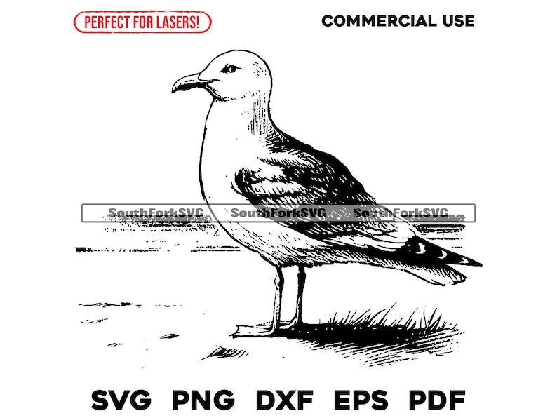 Laser Engrave Files Seagull Svg Png Dxf Eps Pdf | Vector Graphic Design ...