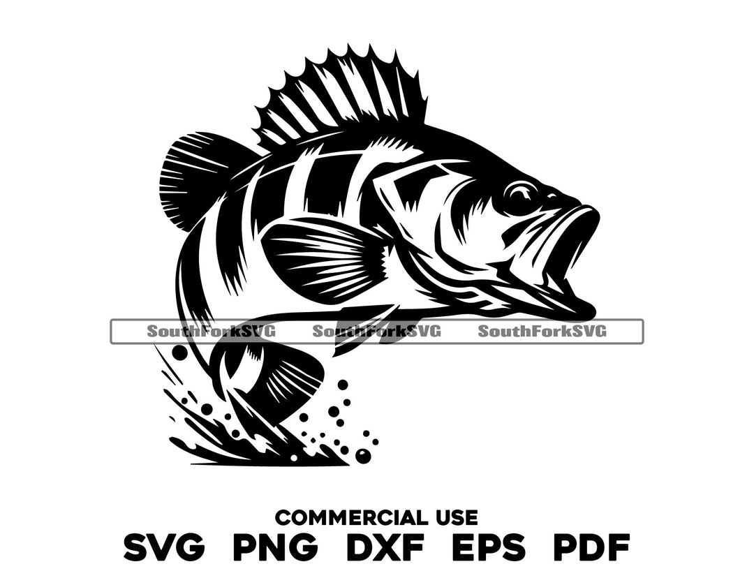Perch Fish Svg Png Dxf Eps Pdf | Transparent Vector Graphic Design Cut ...